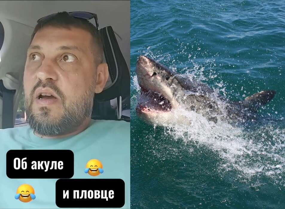 Не все так однозначно Золкін розповів свою версію про акулу яка з